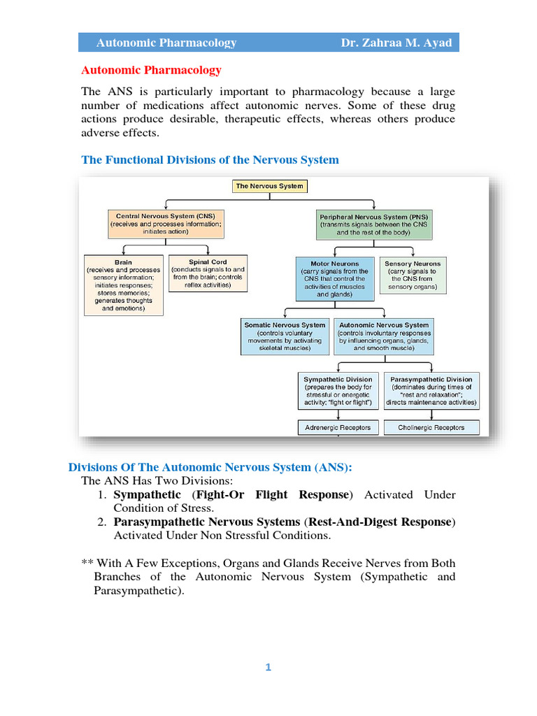 Autonomic Nervous System Drug Classification | PDF | Acetylcholine ...