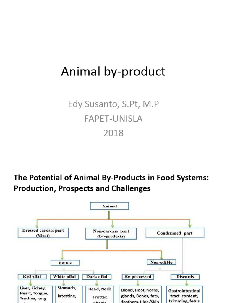 Animal By-Product | PDF | Animal Products