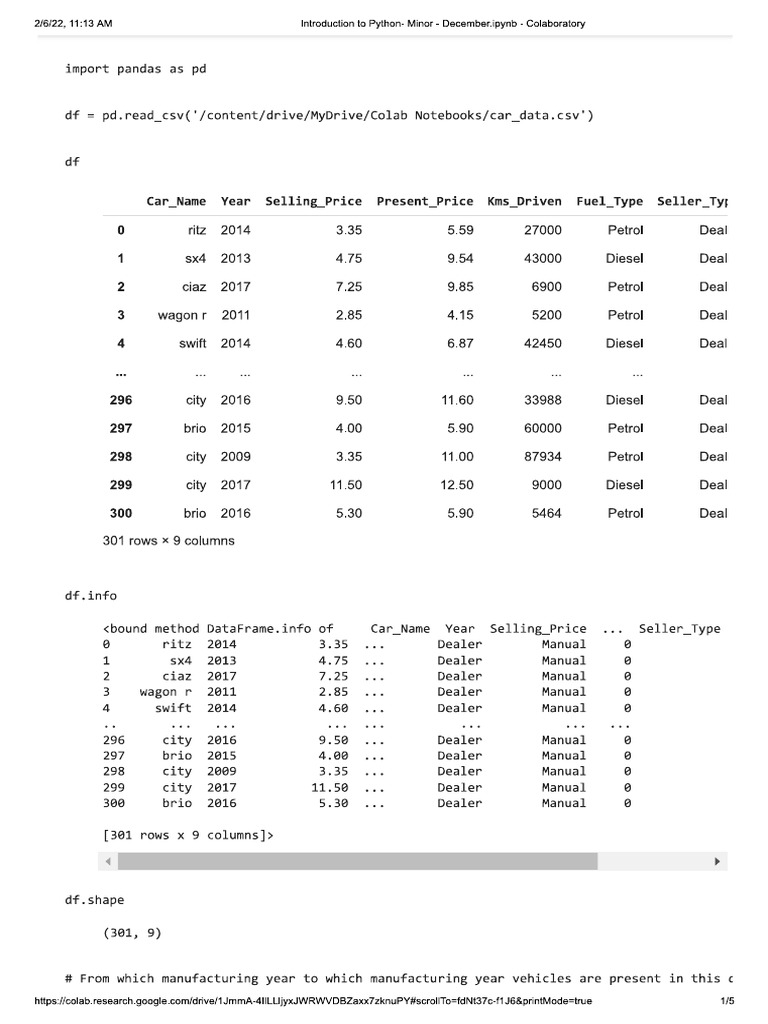 Introduction To Python Minor Project Pdf 