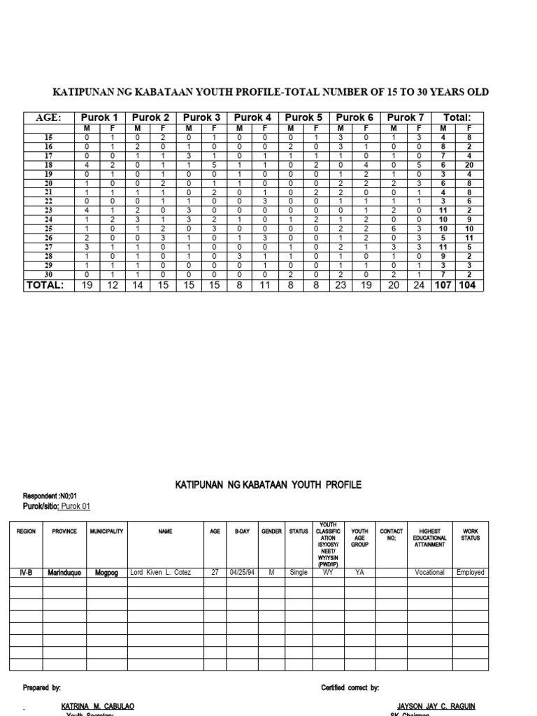 Katipunan NG Kabataan Youth Profile | PDF | Philippines | Unemployment