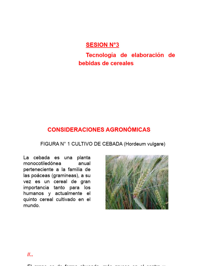 Tecnología de Bebidas de Cereales | PDF | Quinua | Cereales