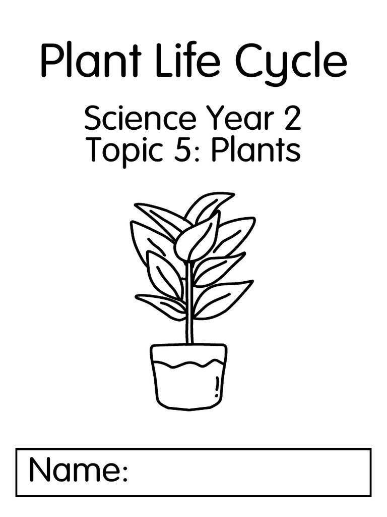 Plant Life Cycle | PDF