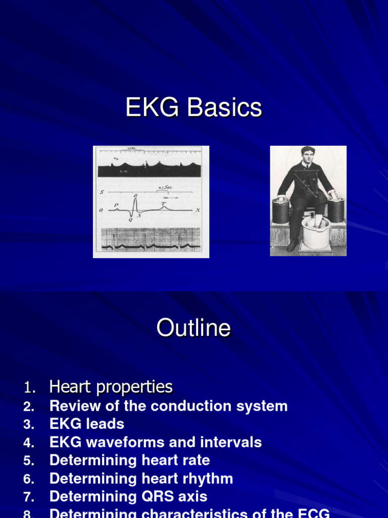 Ecg Engl Large 126 | PDF | Electrocardiography | Organ (Anatomy)