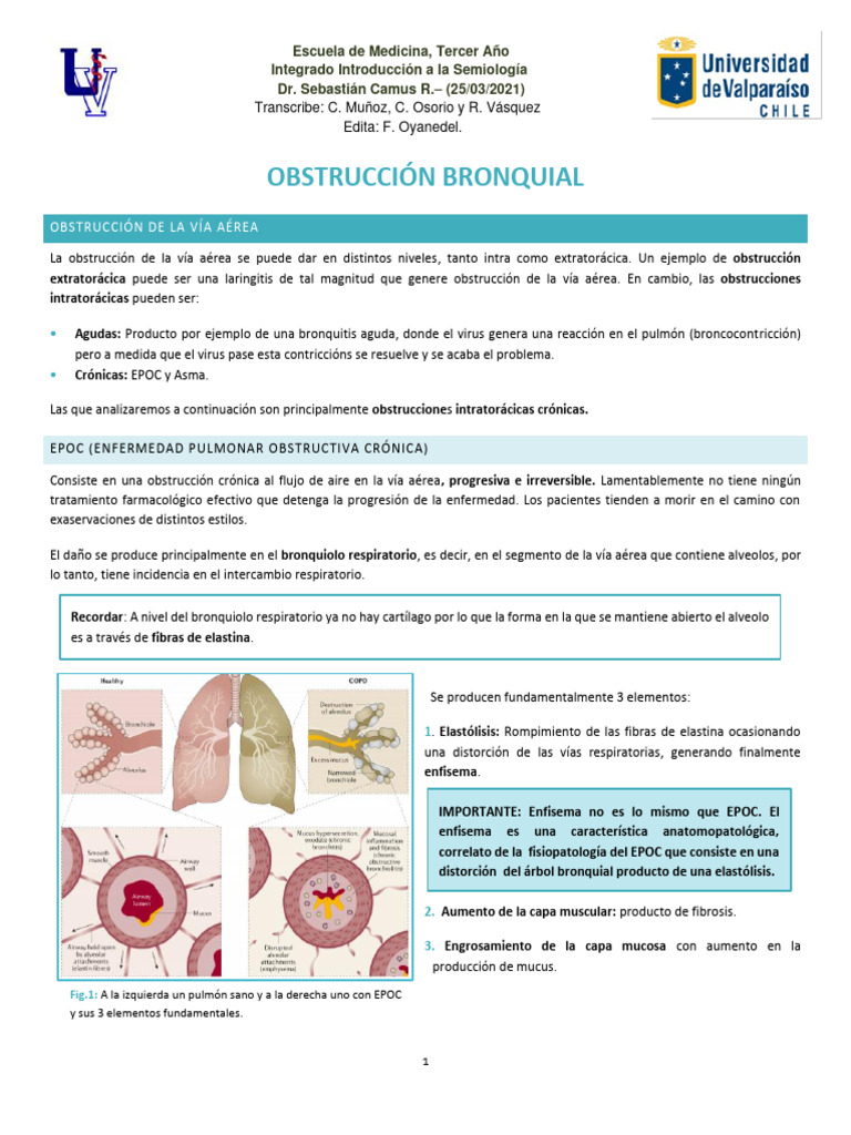 Obstrucción Bronquial | PDF | Asma | Alergia