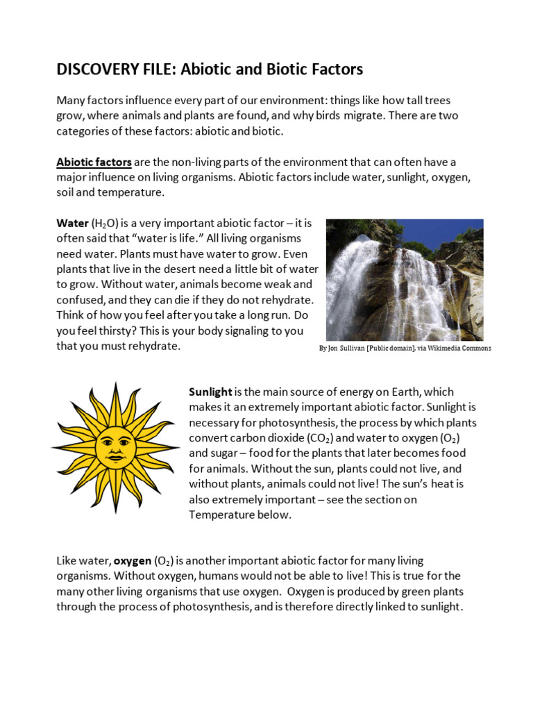Abiotic vs. Biotic Factors Explained | PDF | Ecosystem | Plants