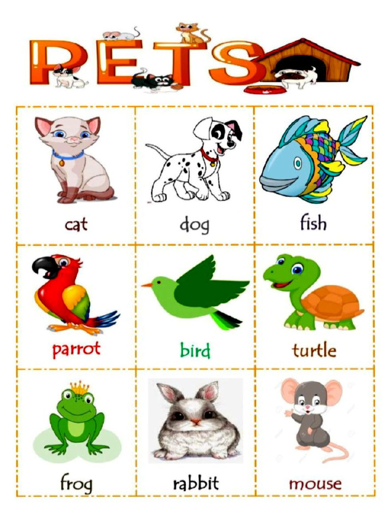 Pets Names | PDF