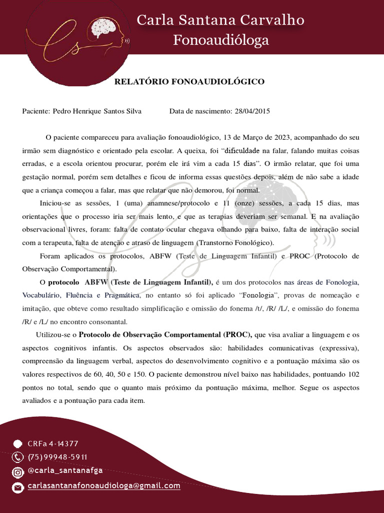 Relatório PEDRO HENRIQUE | PDF