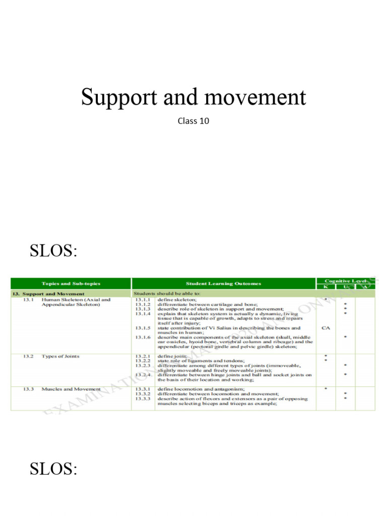 Pechs - Support and Movement Class 10 | PDF | Osteoporosis | Arthritis