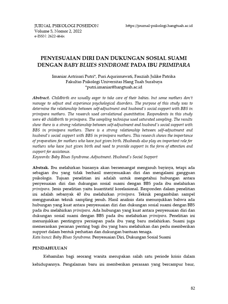 Penyesuaian Diri Dan Dukungan Sosial Suami Dengan Baby Blues Syndrome ...