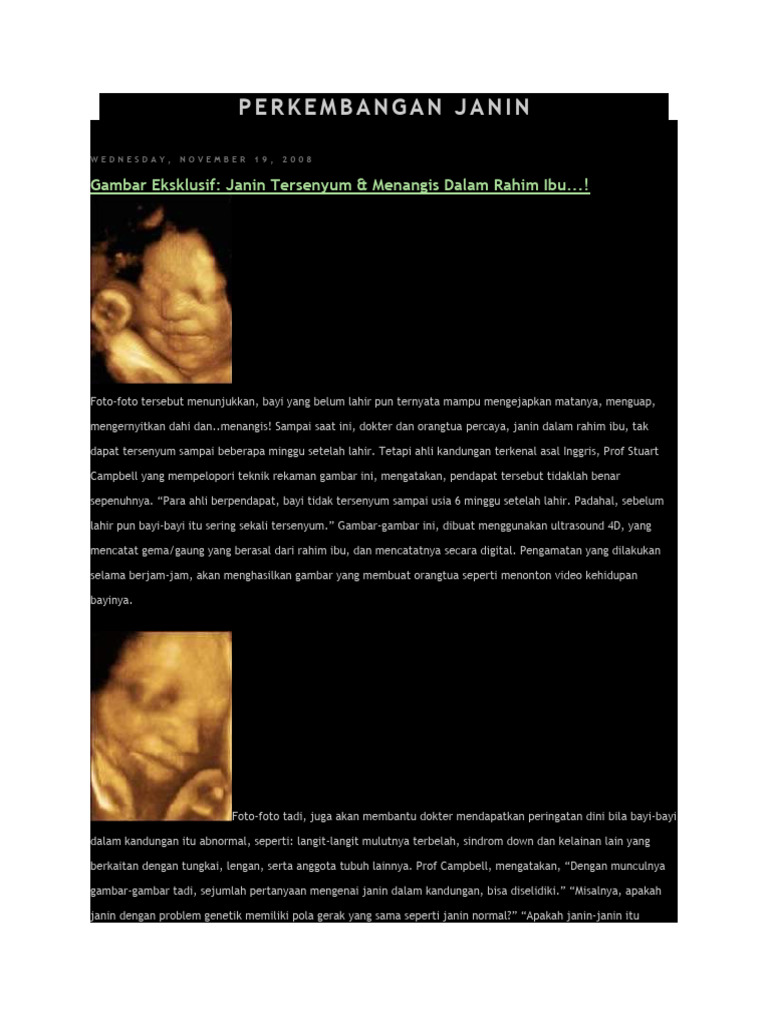 Perkembangan Janin | PDF
