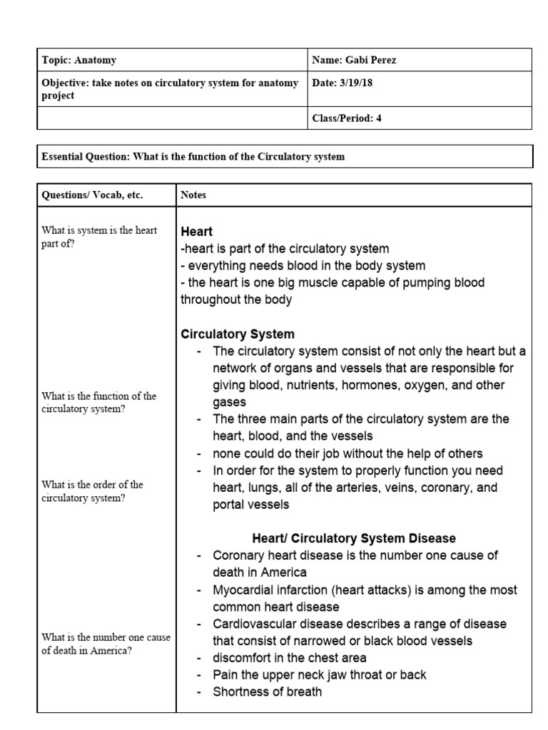 Cornell Notes Template | Download Free PDF | Blood Vessel | Heart