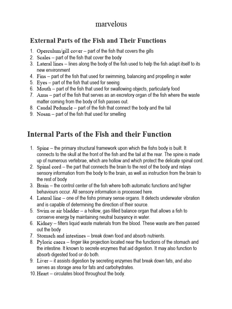 Parts of The Fish | PDF | Human Body | Fish