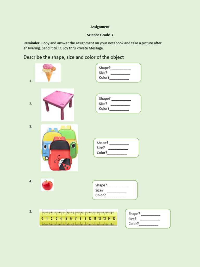 Assignment Grade 3 Science | PDF