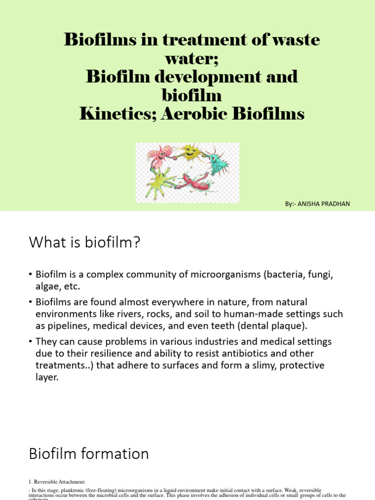 Biofilms in Treatment of Waste Water 2 | PDF | Biofilm | Chemistry