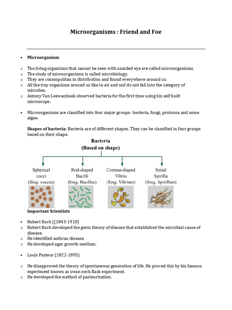 Microorganisms: Friends and Foes Explained | PDF | Microorganism | Food ...