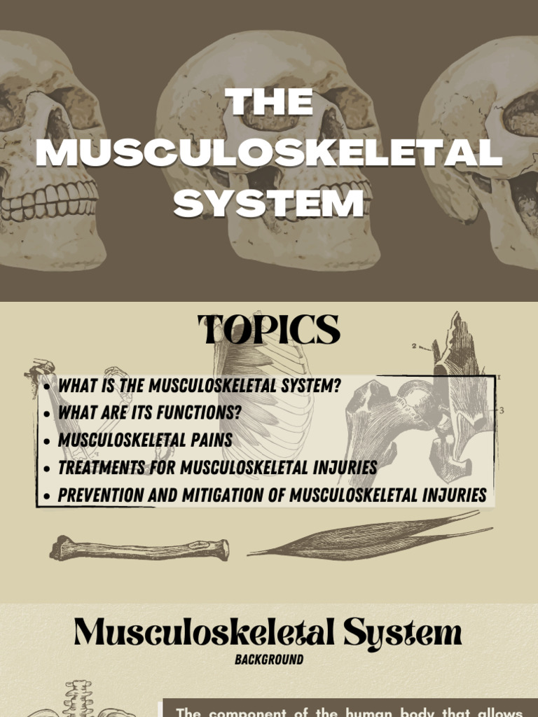 Musculoskeletal System | PDF | Nonsteroidal Anti Inflammatory Drug ...