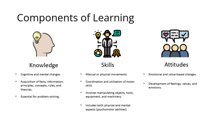 Components of Learning | PDF
