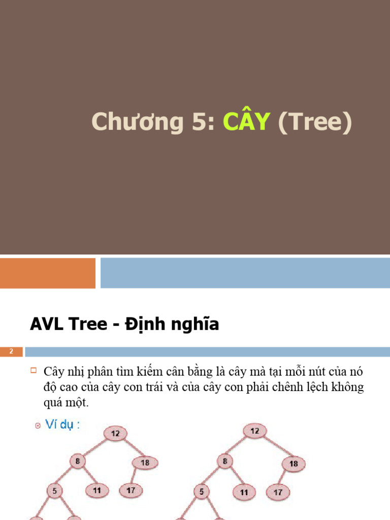C5 - Cau Truc Cay AVL | PDF