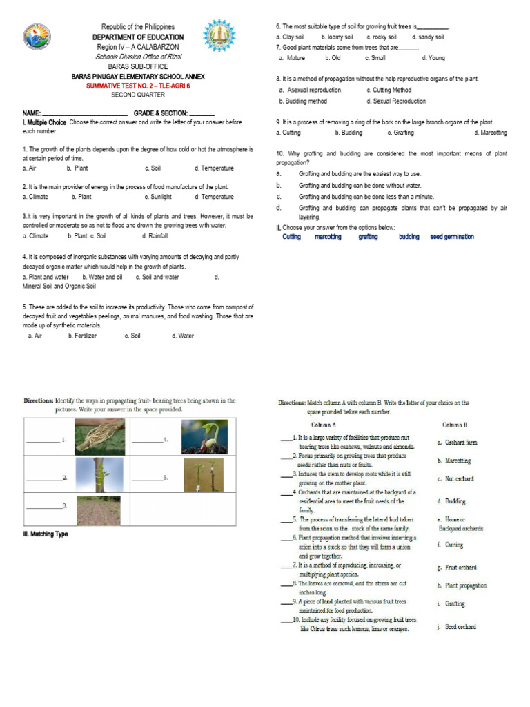 Tle ST 2 - Tle Agri - Q2 | PDF | Soil | Plants Tle ST 2 - Tle Agri - Q2 | PDF | Soil | Plants