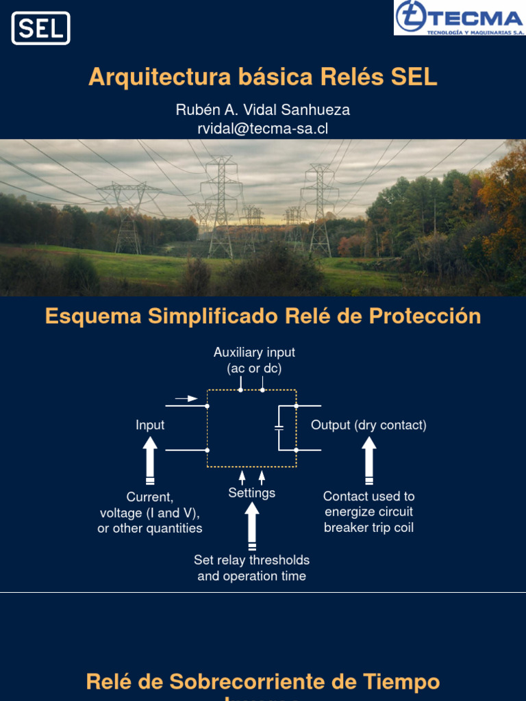Conceptos Básicos Relés SEL - V1 | PDF | Electrónica | Ciencias de la Computación