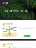 Photosynthesis: Key Concepts & Processes | PDF | Photosynthesis ...