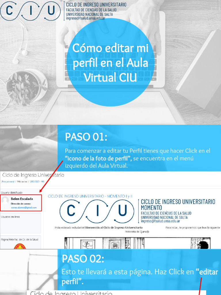 Editar Perfil en Aula Virtual CIU | PDF