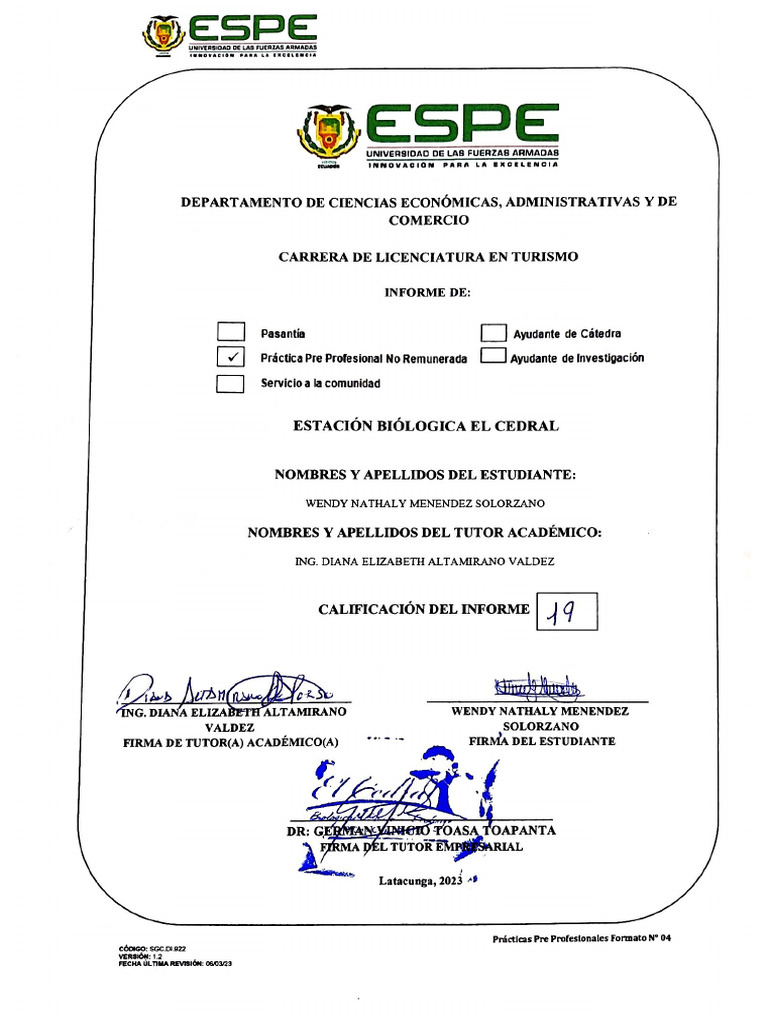 Formato 4 - Informe y Producto Final | PDF