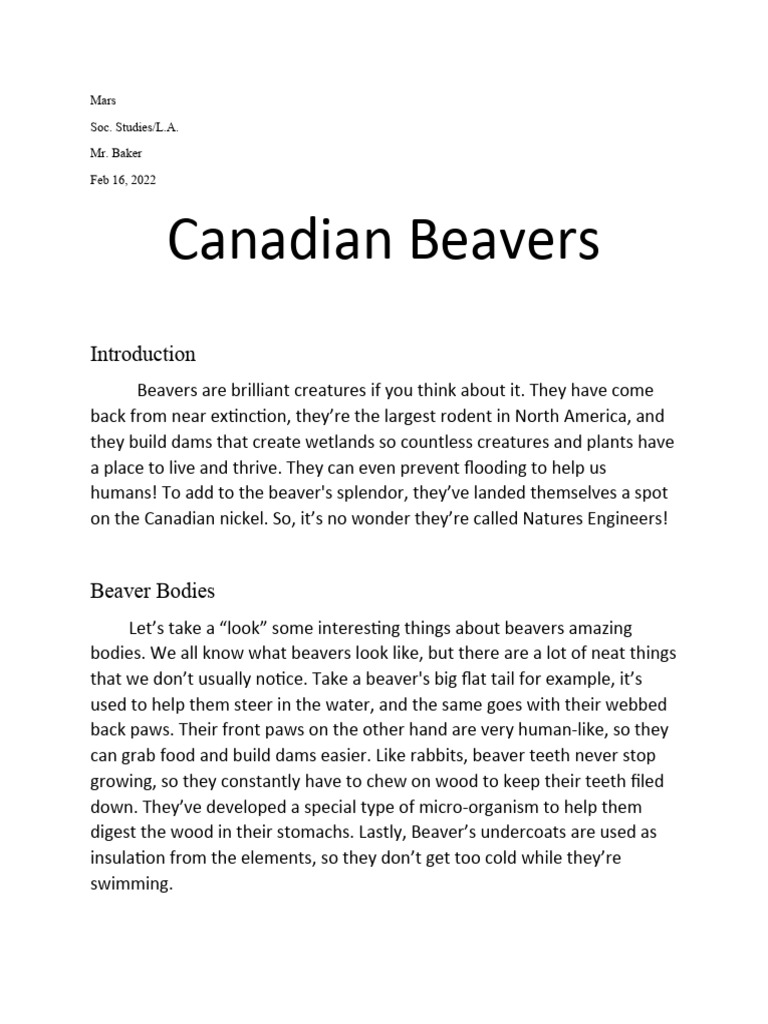 G.7 Heritage Fair Report | PDF | Beaver | Fur Trade