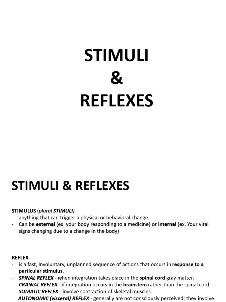 Lab 19 Stimuli Reflexes | PDF | Spinal Cord | Nerve