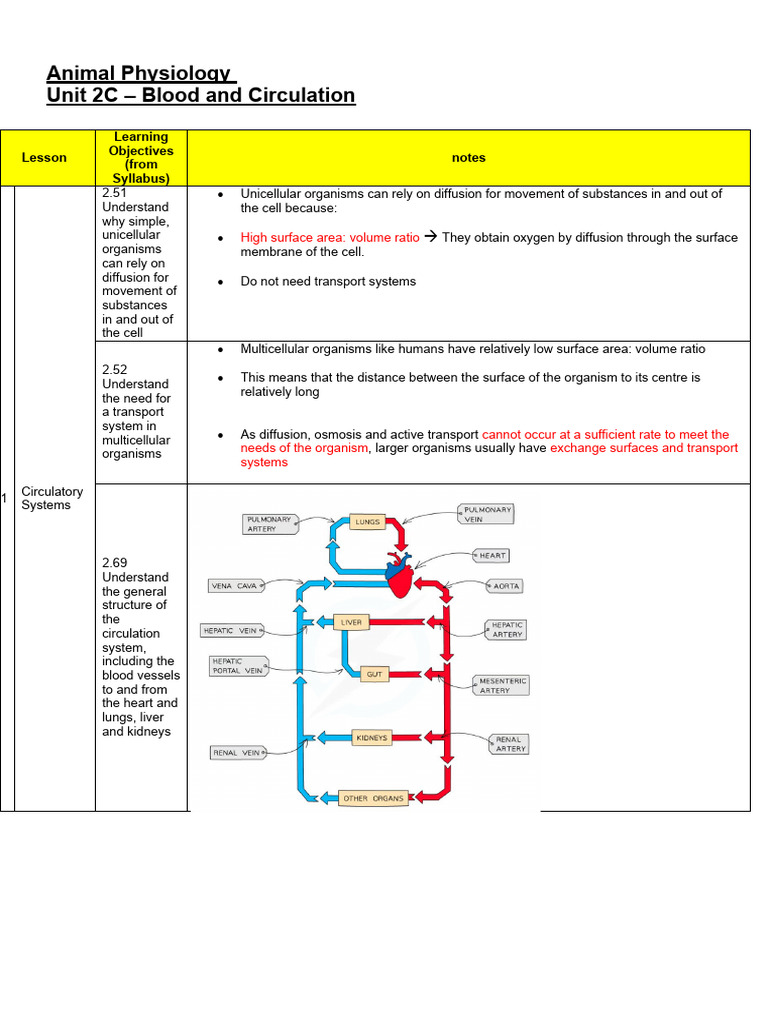 Edexcel IGCSE Unit 2C Blood and Circulation - Self-Assessment Sheet ...
