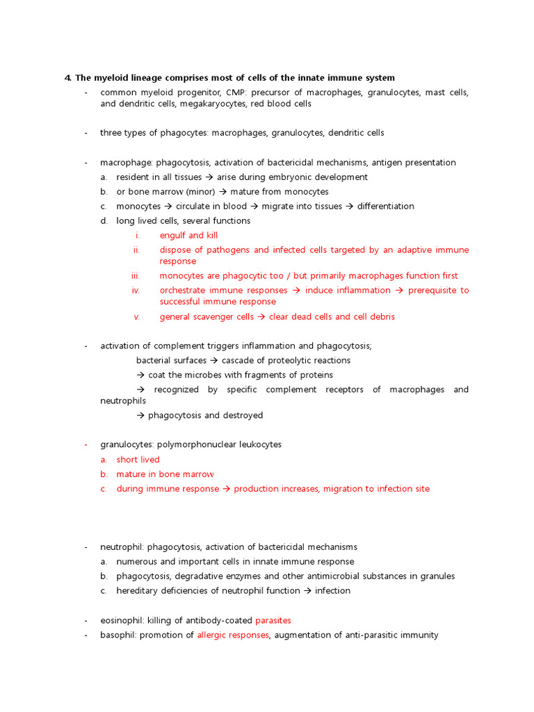 Immunology | PDF | Immune System | Lymphocyte