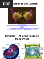 Amoeba Sisters Cell Cycle-1 | PDF | Mitosis | Chromosome