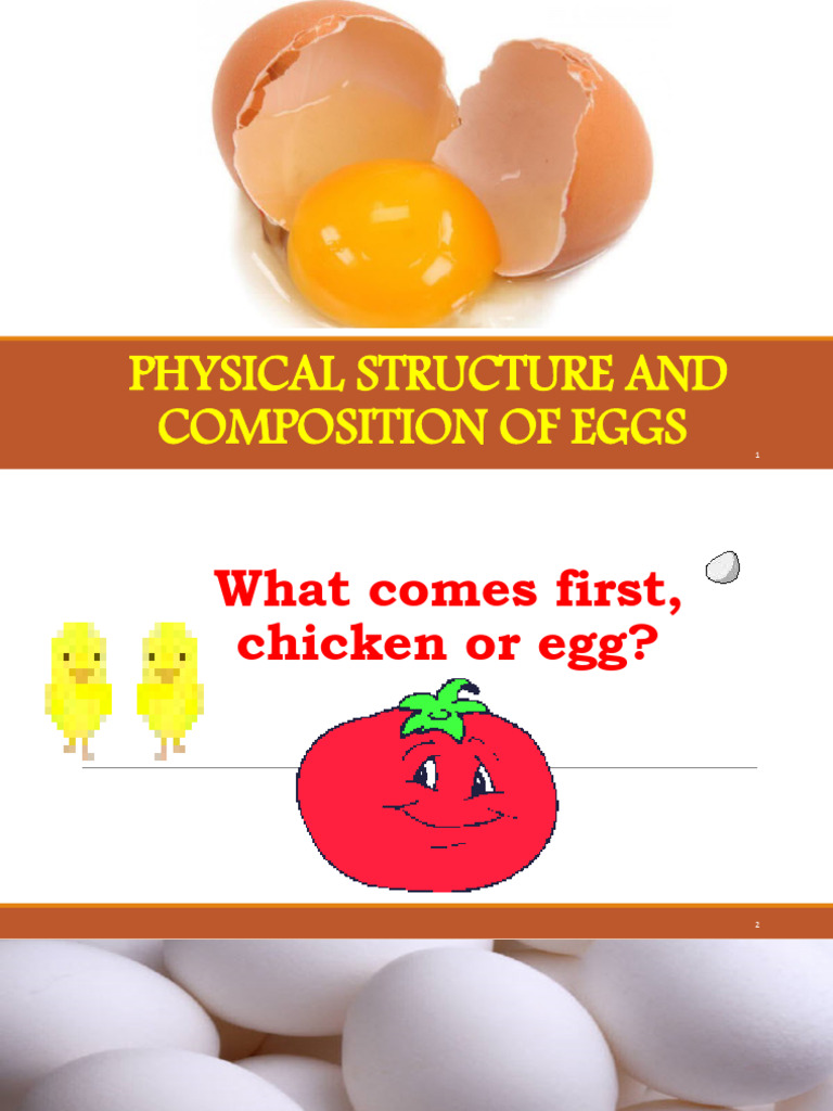 Structure and Composition of Eggs | PDF | Egg As Food | Yolk