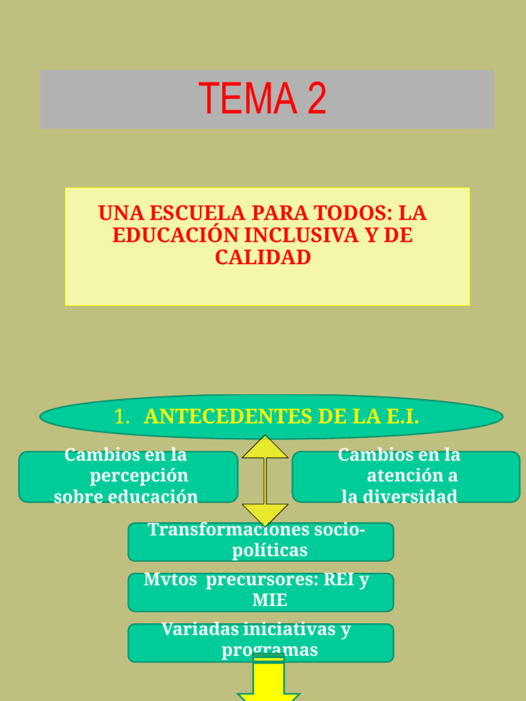 Tema 2 Neae | PDF | Inclusión (Educación) | Invalidez