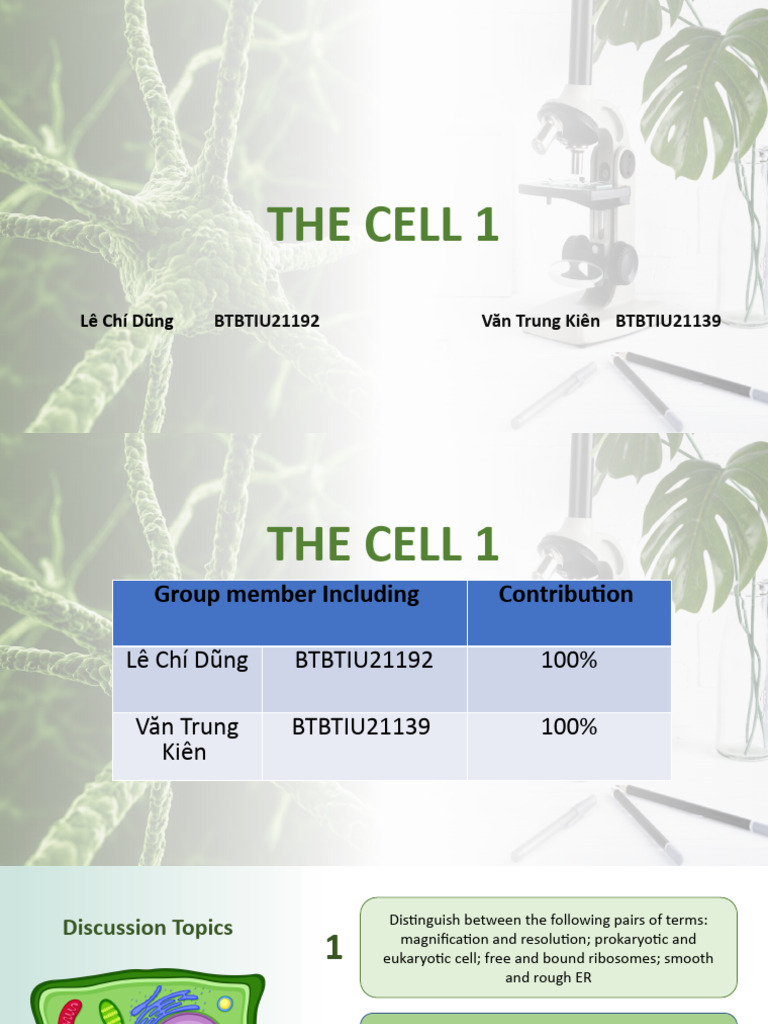 Presentation. Lec. 3. The Cell 1 | PDF | Endoplasmic Reticulum | Cell (Biology)