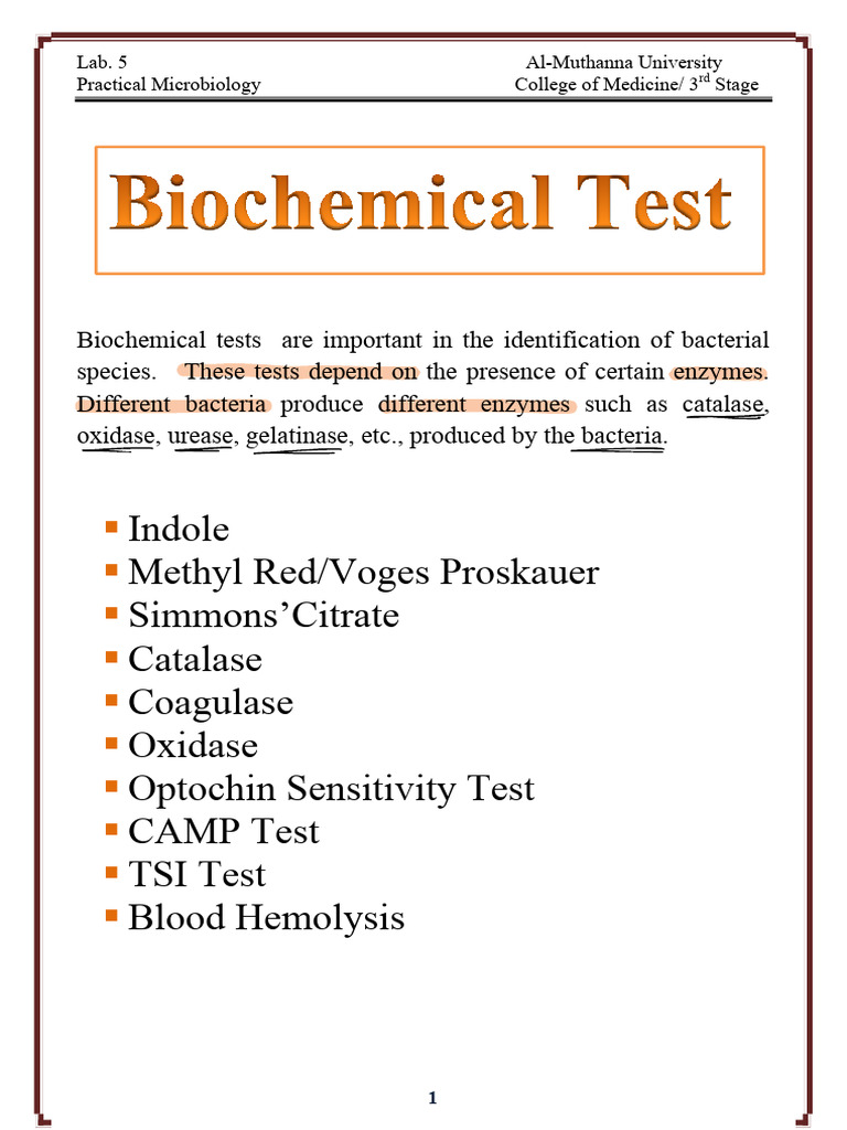 Lab.5 Biochemical Test-1 | PDF | Staphylococcus | Streptococcus