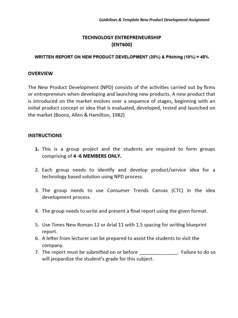 Ent600 2. NPD Guidelines & Template (Group) | PDF | New Product ...