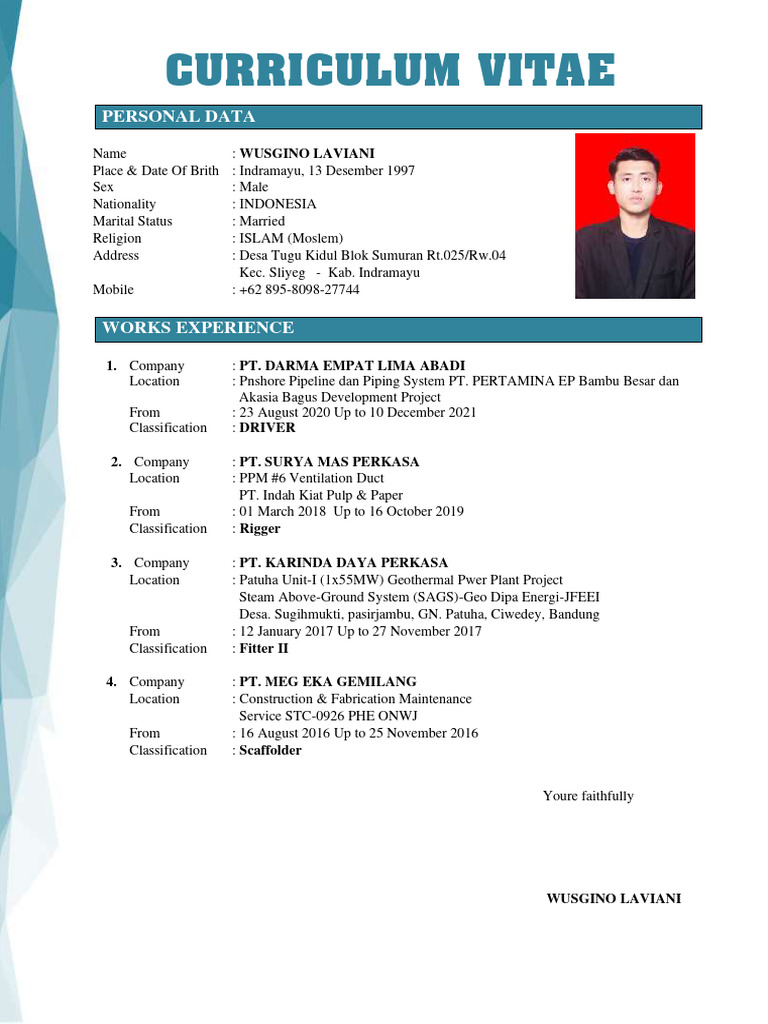 Curriculum Vitae: Personal Data | PDF