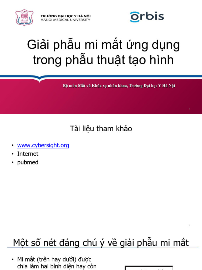 Final - Giai Phau Mi Mat Va Ung Dung Trong Phau Thuat Tao Hinh 1 1 | PDF
