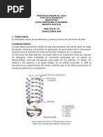 Practica. Extracción de ADN Con Resina Cheelex-100 | PDF | Adn | Quelación