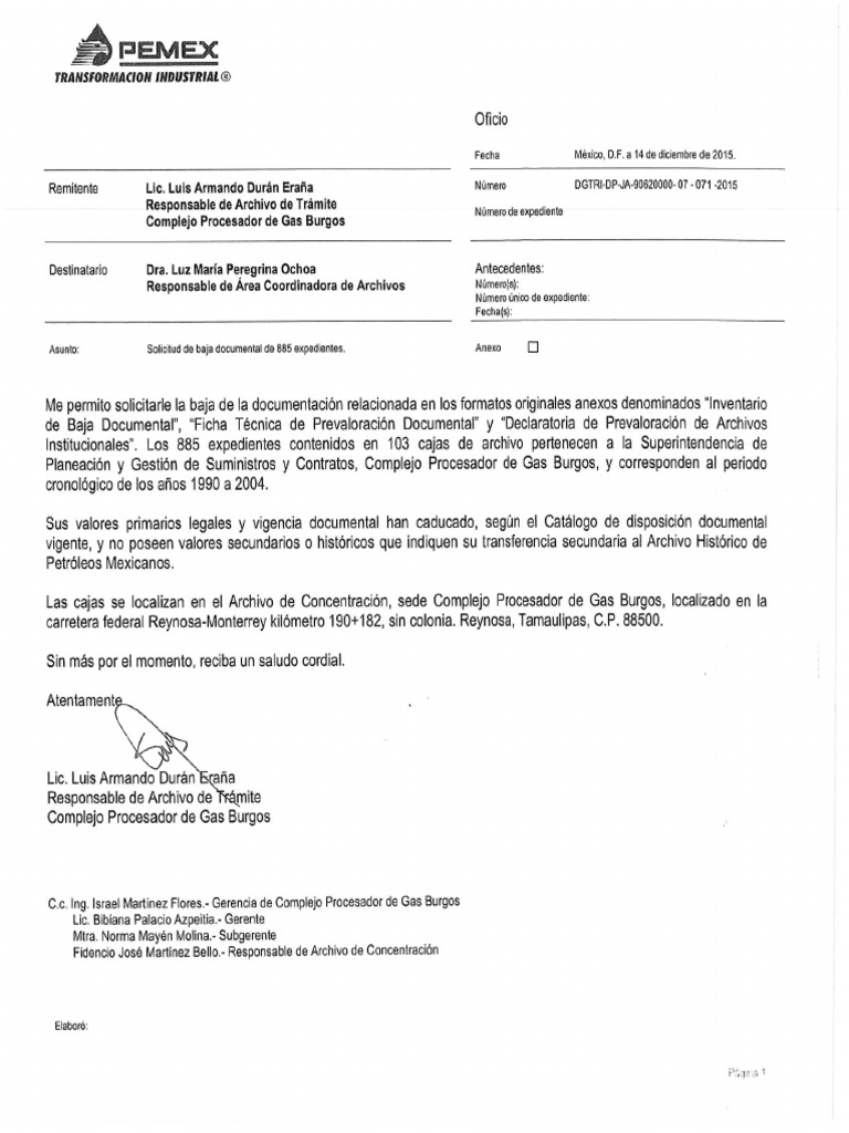 Ejemplo de Baja Documental | PDF