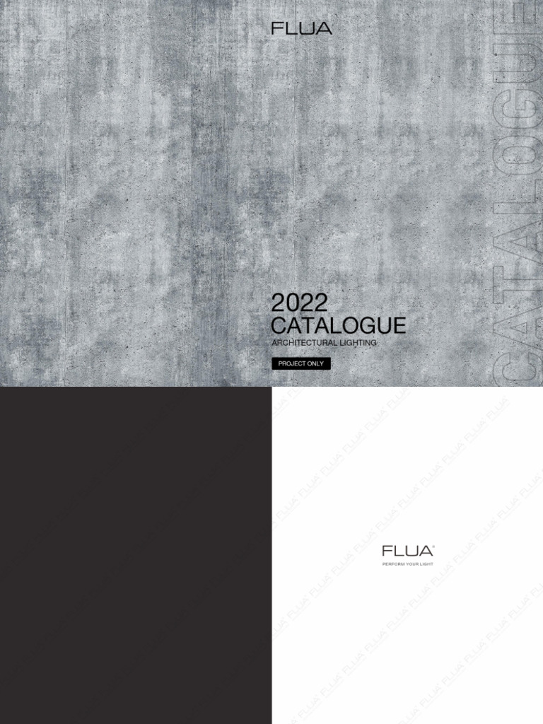 Flua 2022 | PDF
