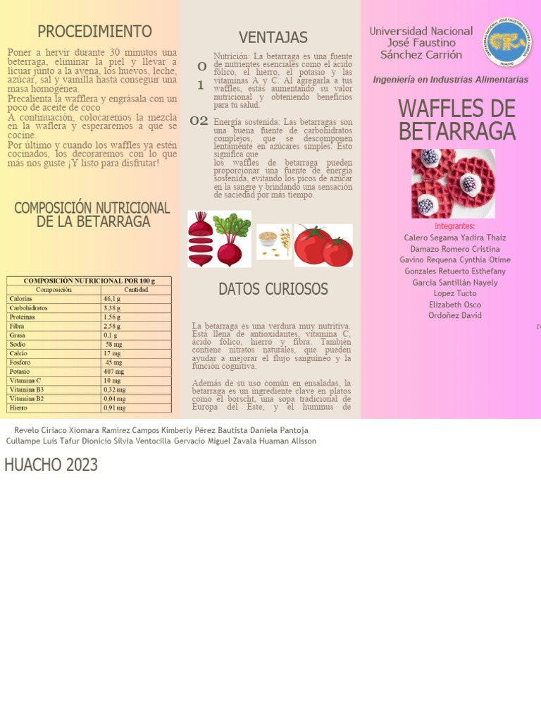 TRIPTICO Waffles | PDF | Nutrición | Dieta y nutrición