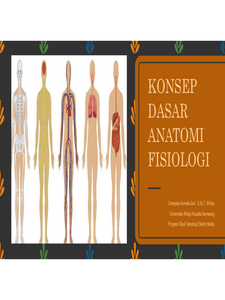 Konsep Dasar Anatomi Dan Fisiologi Manusia | PDF