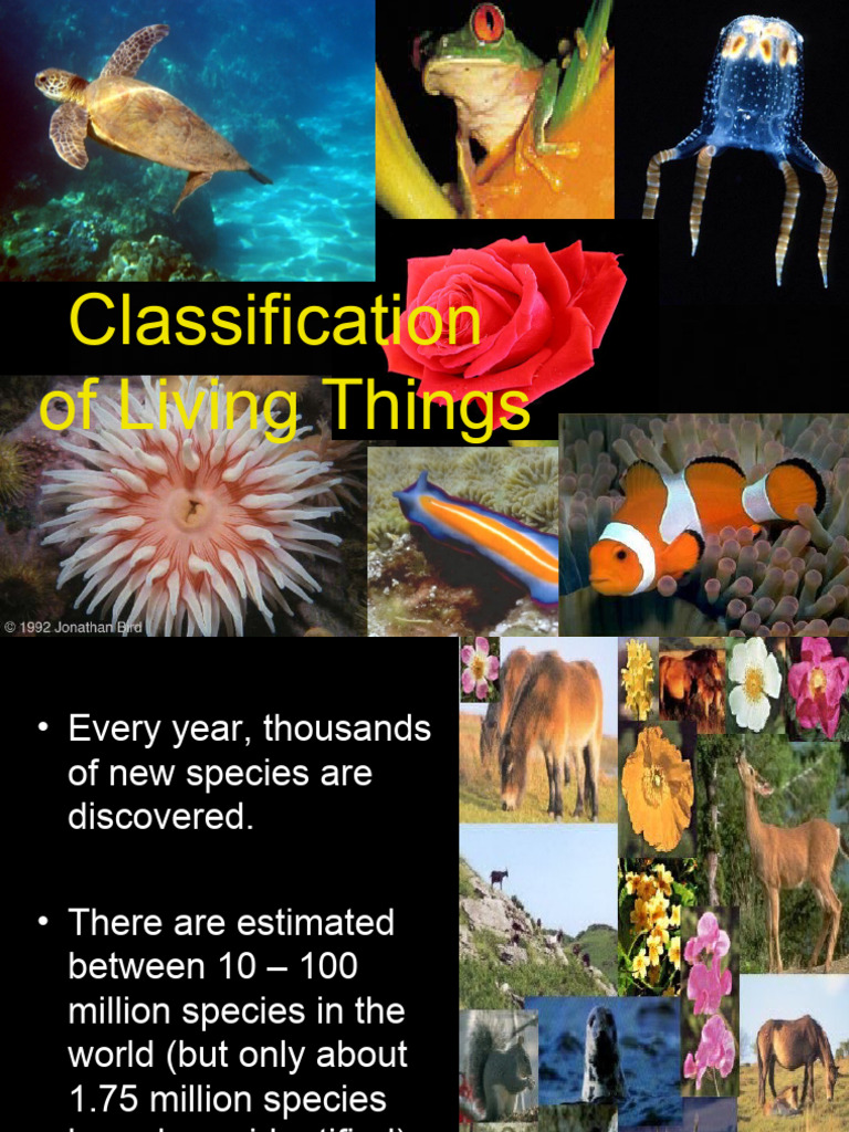 Taxonomy and Classification of Species | PDF | Taxonomy (Biology) | Genus