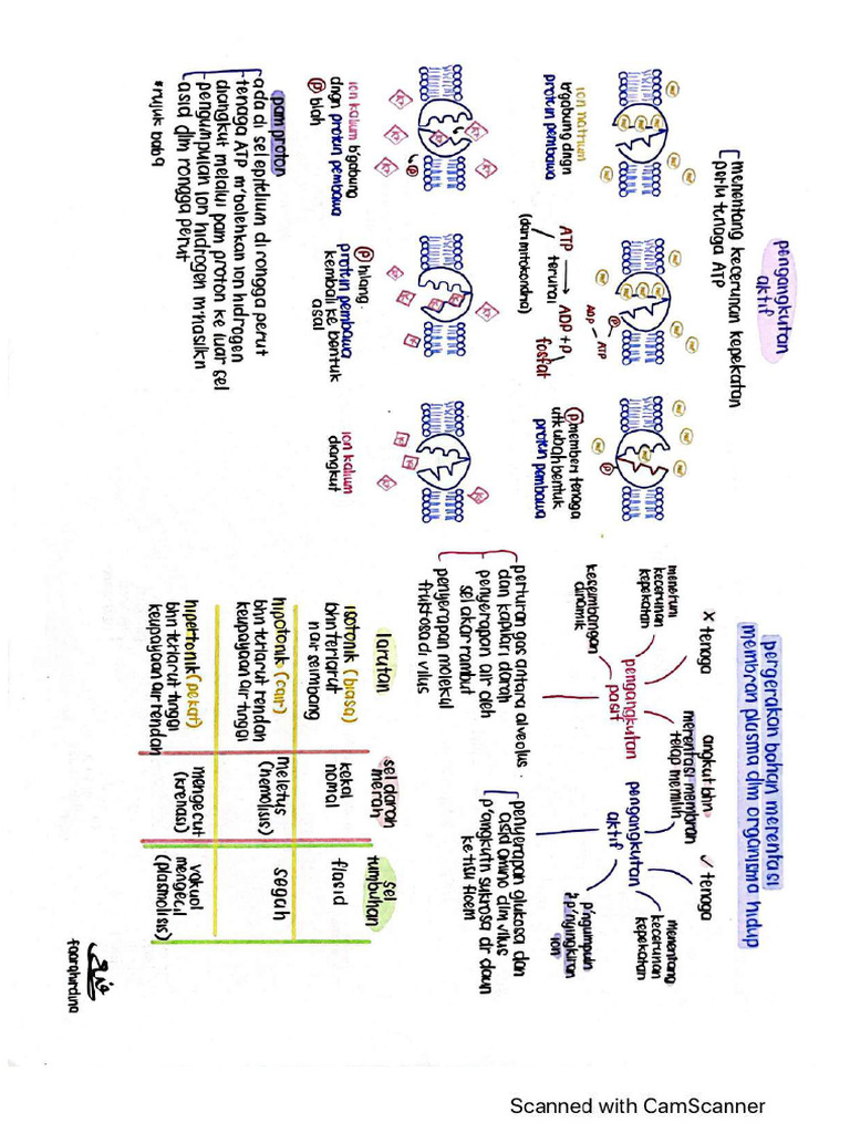 Form 4 A+ Bio Notes - Compressed | PDF