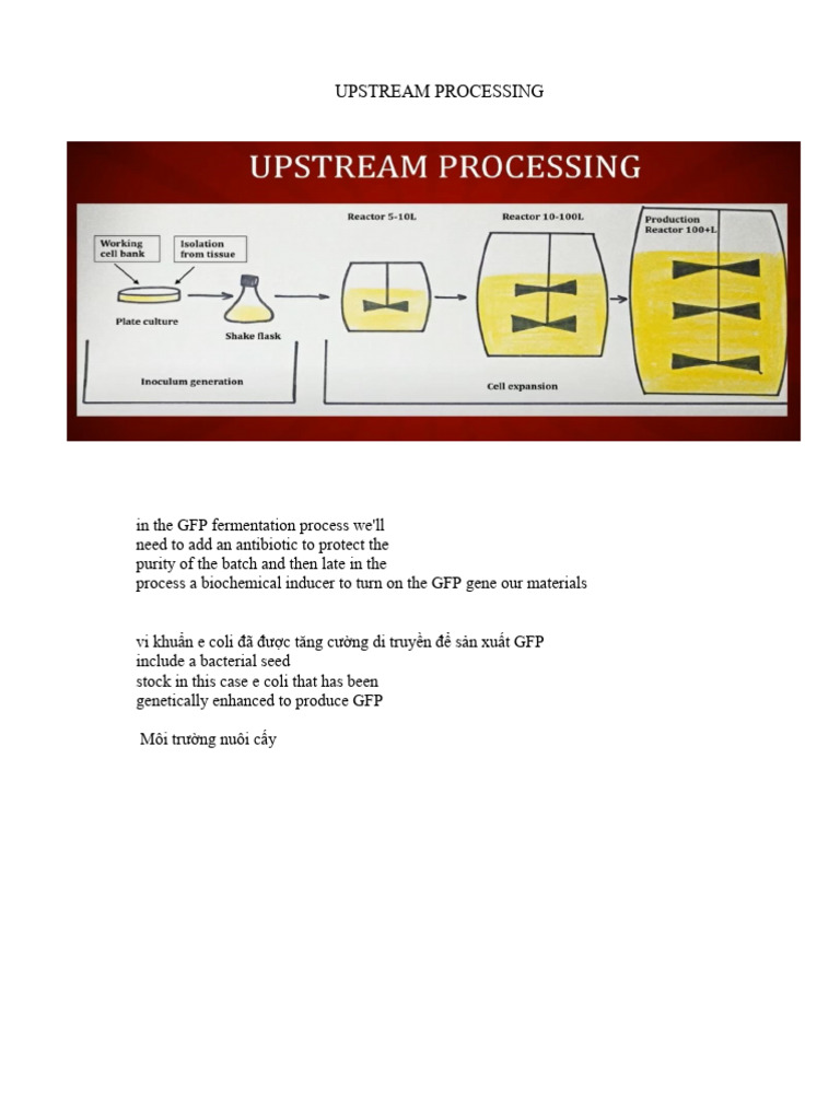 UPSTREAM PROCESSING GFP | PDF
