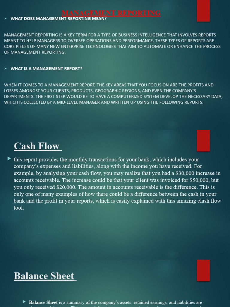 Management Reporting | PDF | Balance Sheet | Business
