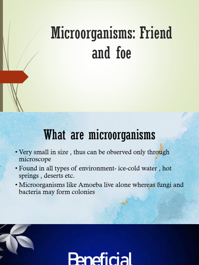 Microorganisms and Its Types | PDF | Infection | Microorganism