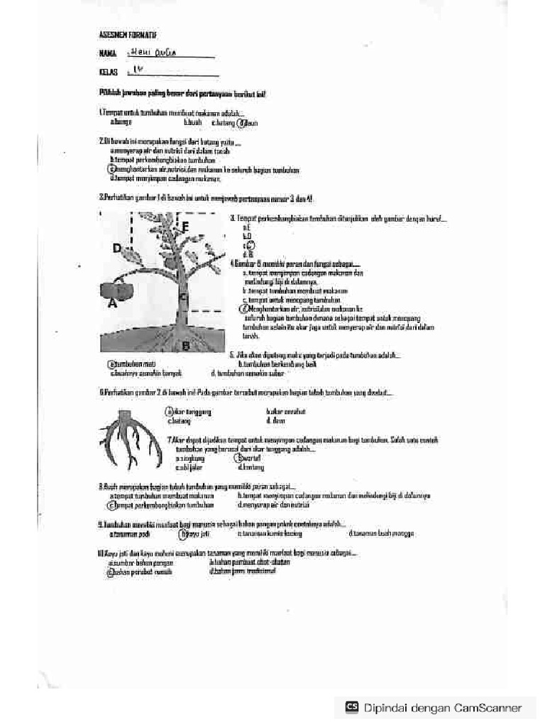 LK PTK Peningkatkan Hasil Belajar Ipas Materi Bagian Tumbuhan Dan Fungsinya Dengan Model ...